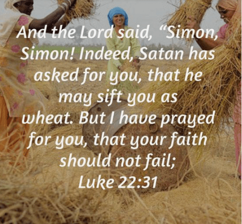 Peter: Sifted for Service